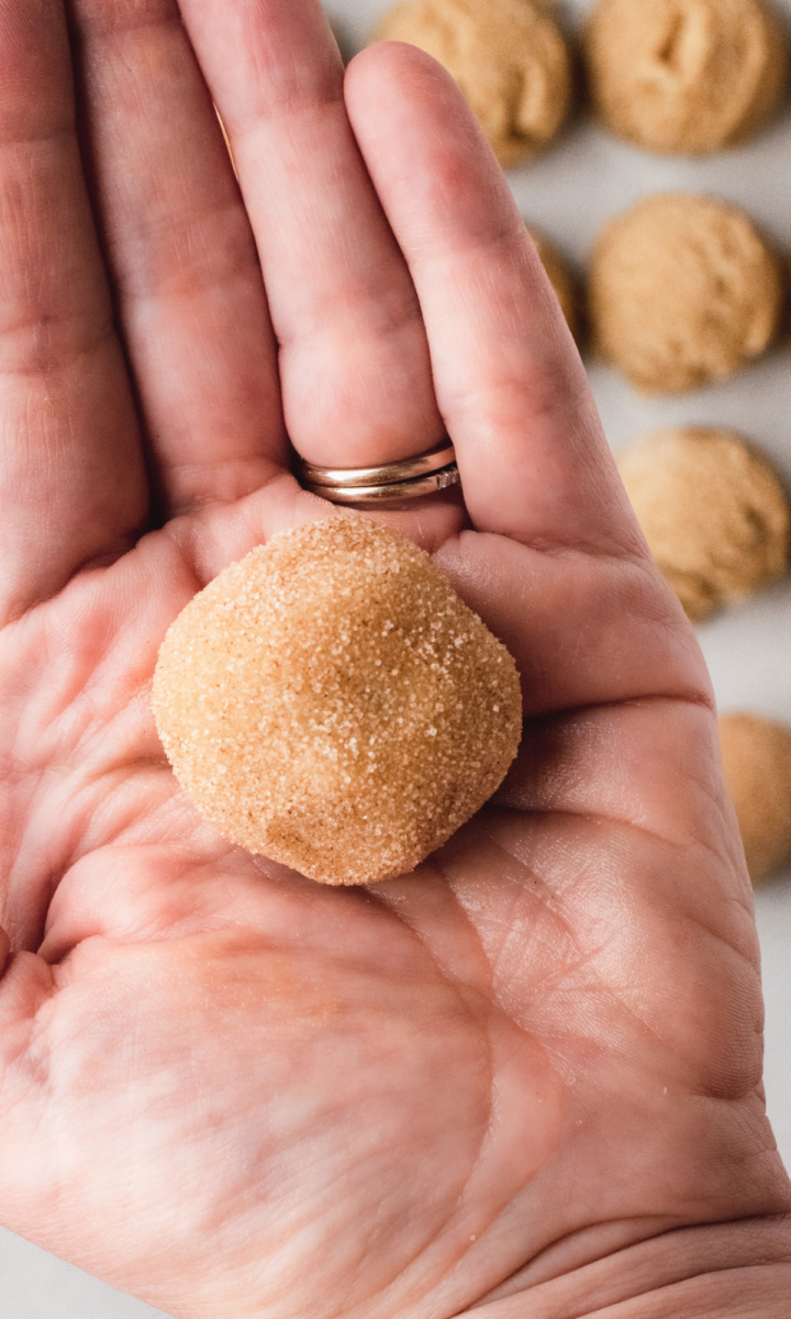 Chewy Snickerdoodles Without Cream of Tartar – Hey, Snickerdoodle!
