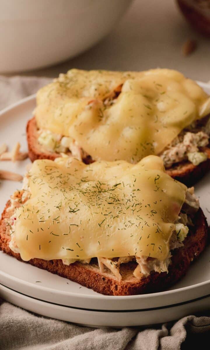 Open Face Tuna Melts – Hey, Snickerdoodle!