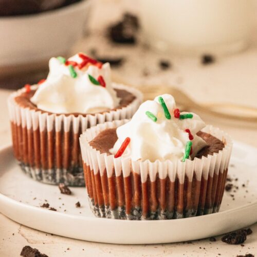 Mini Chocolate Cheesecakes with Oreo Crust – Hey, Snickerdoodle!